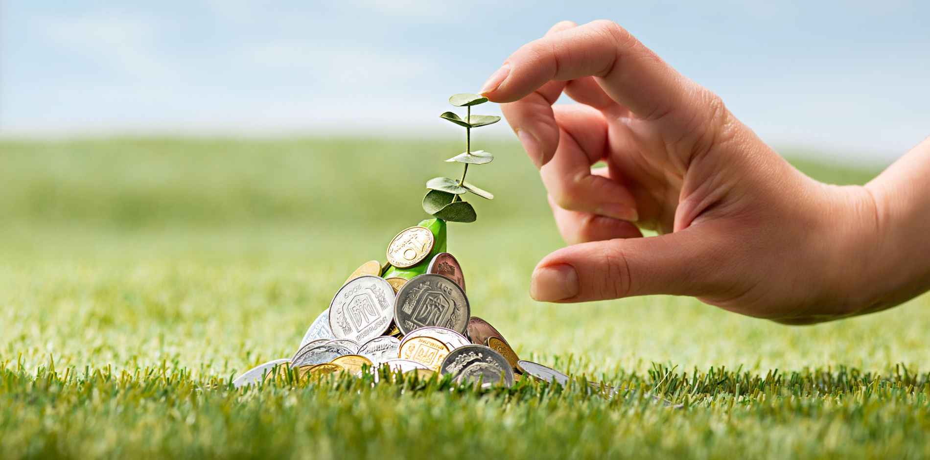 Home - Multicoreware